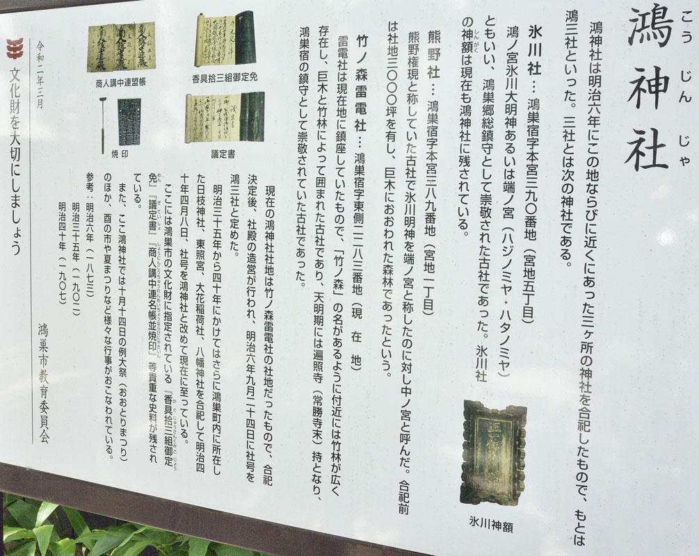 埼玉県の巨木 鴻神社のイチョウ