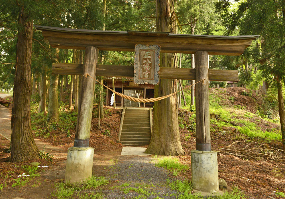 福島県の巨木 川辺八幡のさかさ杉